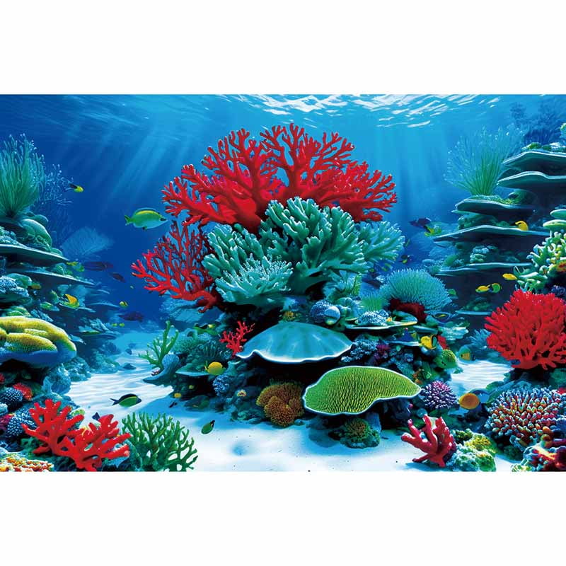 Hot Air Balloon Childr Birthday Photography Backdrop Cosmos Cactus ...