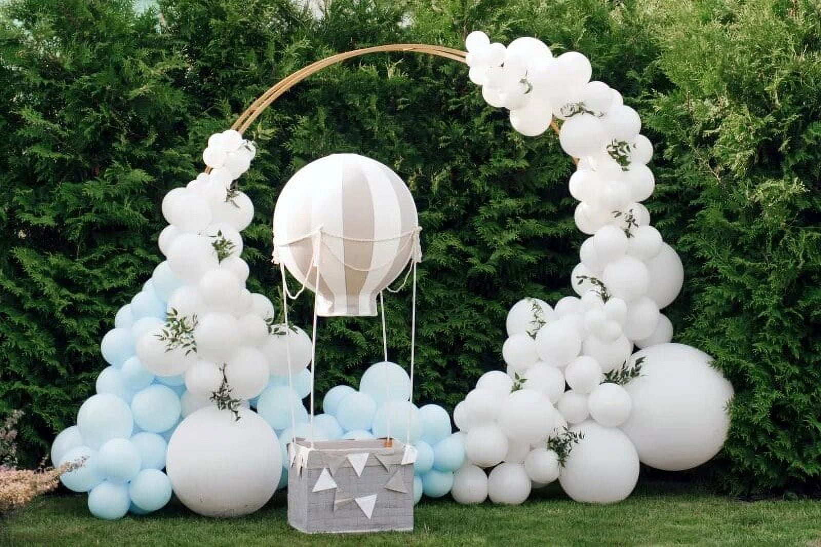 Hot Air Balloon Party Scene Backdrop Blue Balloons Cloud Girl Birthday ...