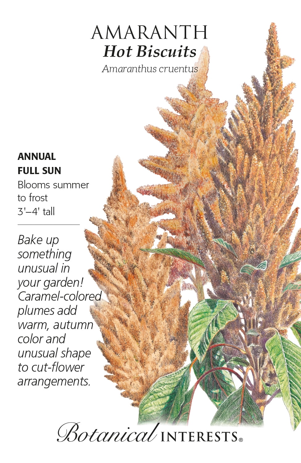 Hot Biscuits Amaranth Seeds - 300 Mg - Walmart.com