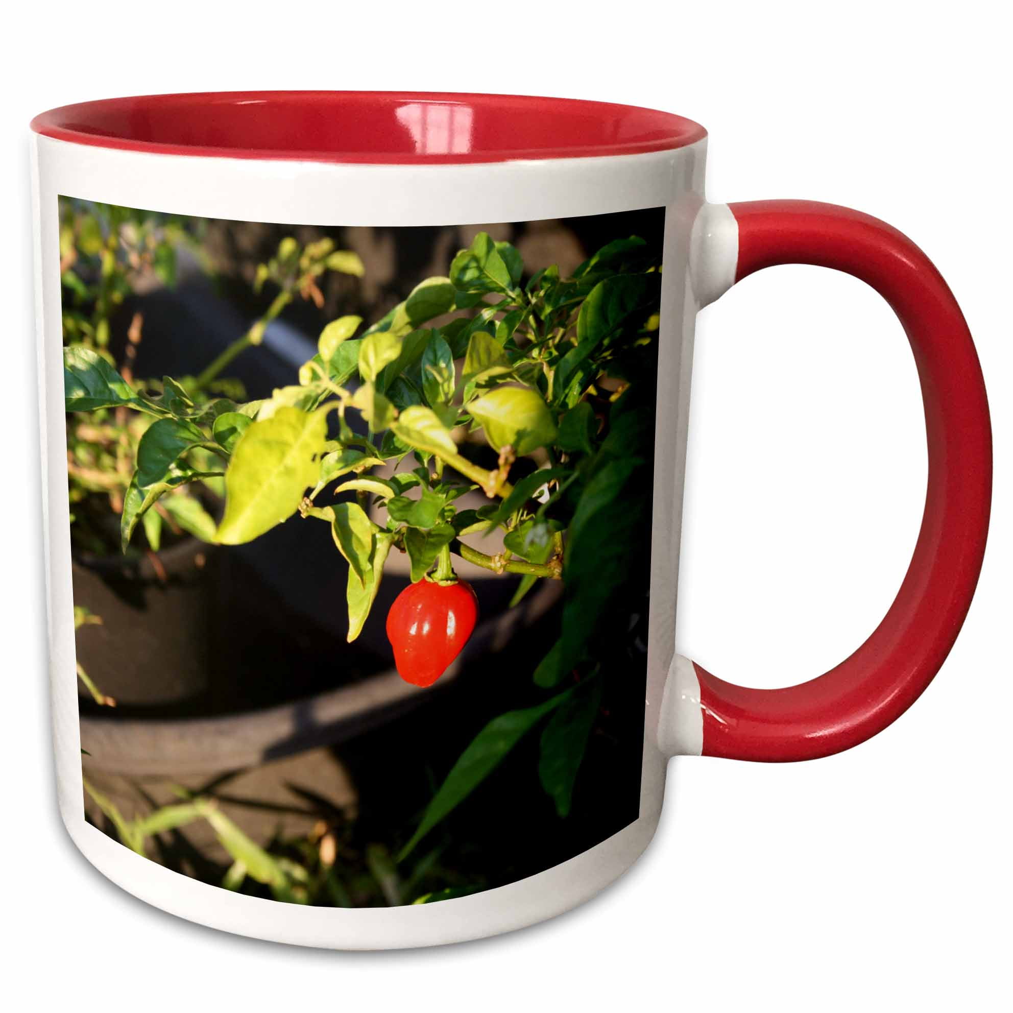 3drose, Hot Pepper Design, 11oz Two-tone Red Mug - Walmart.com