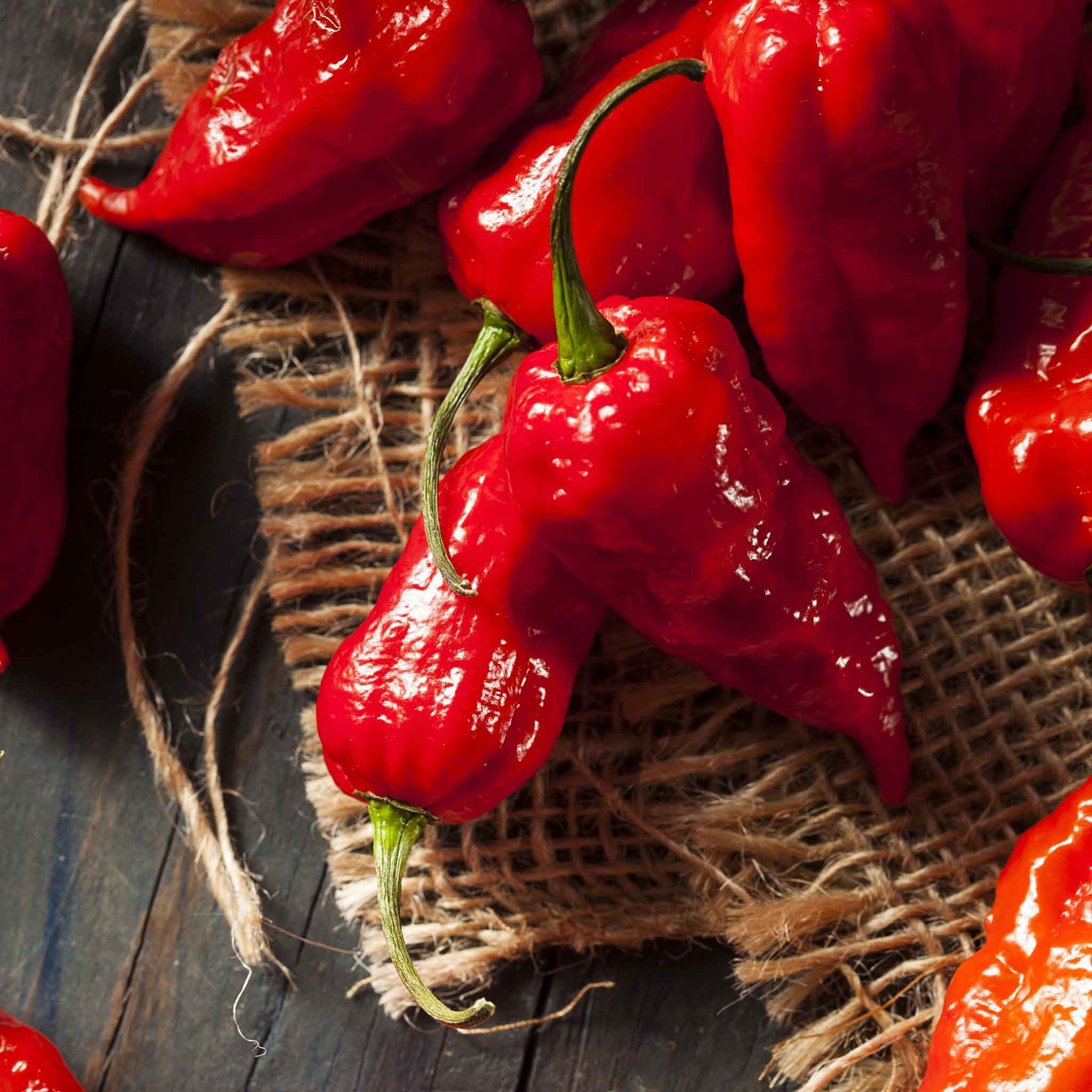 Eden Brothers Hot Pepper Seeds - Bhut Jolokia / Ghost - Walmart.com