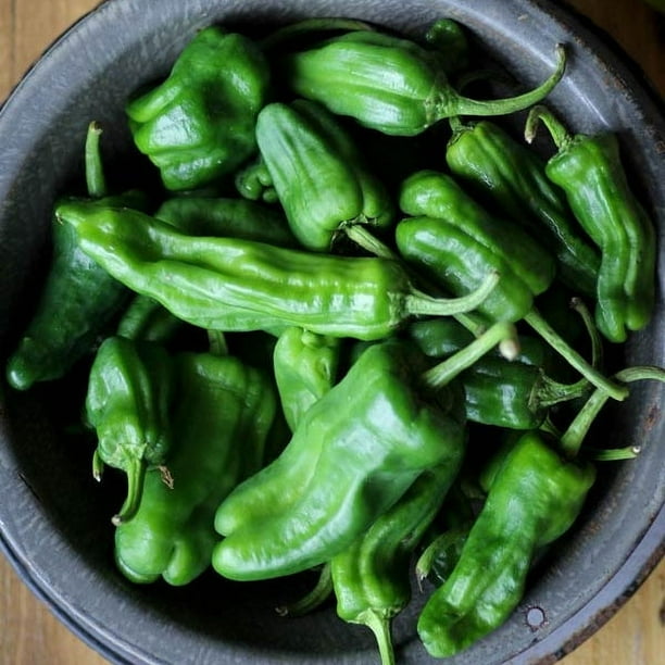 Hot Pepper Seeds - Padron - Packet - Vegetable Seeds, Heirloom Seed ...