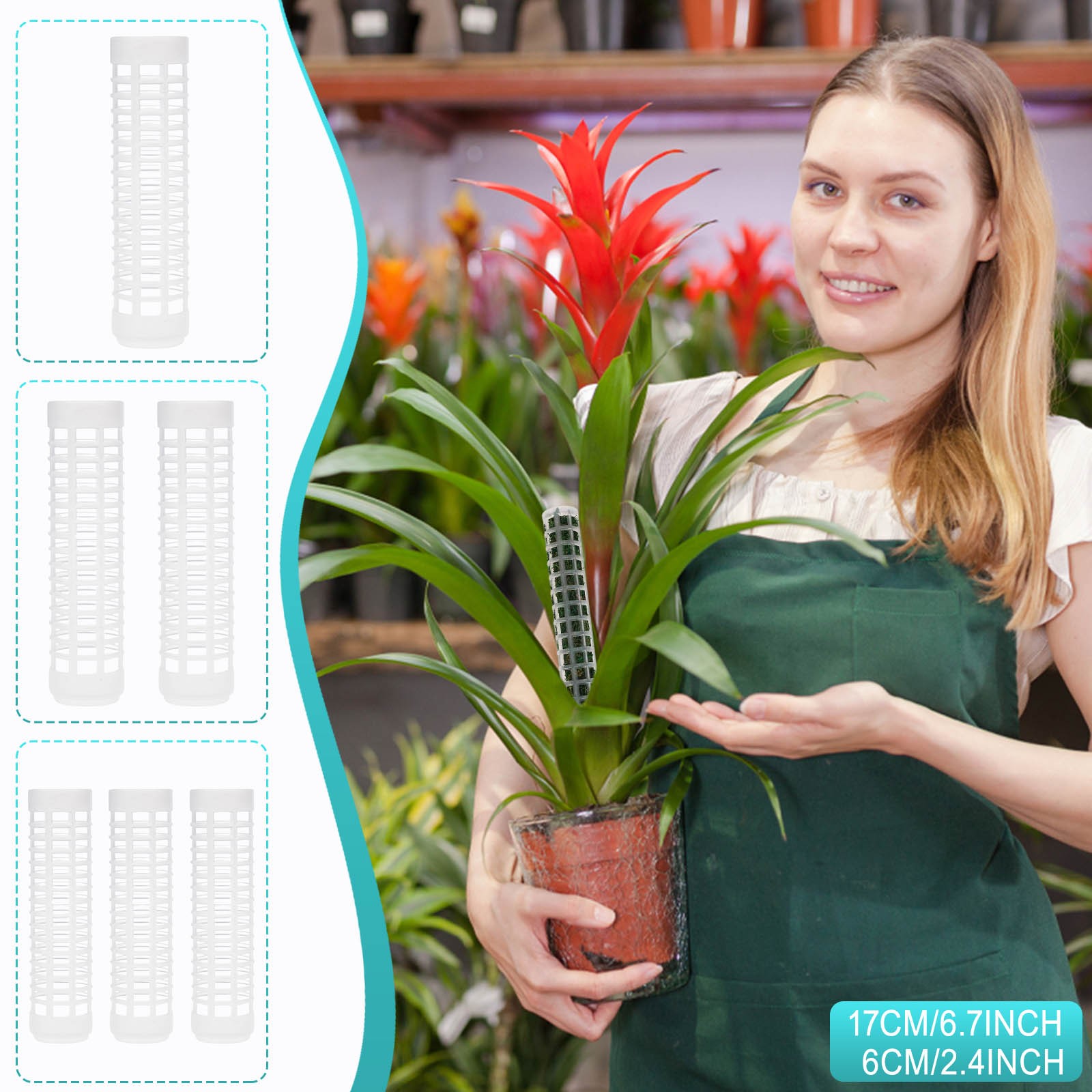 Hot Picks, Plastic Moss Pole, Monstera Support, Sphagnum Moss Ready ...