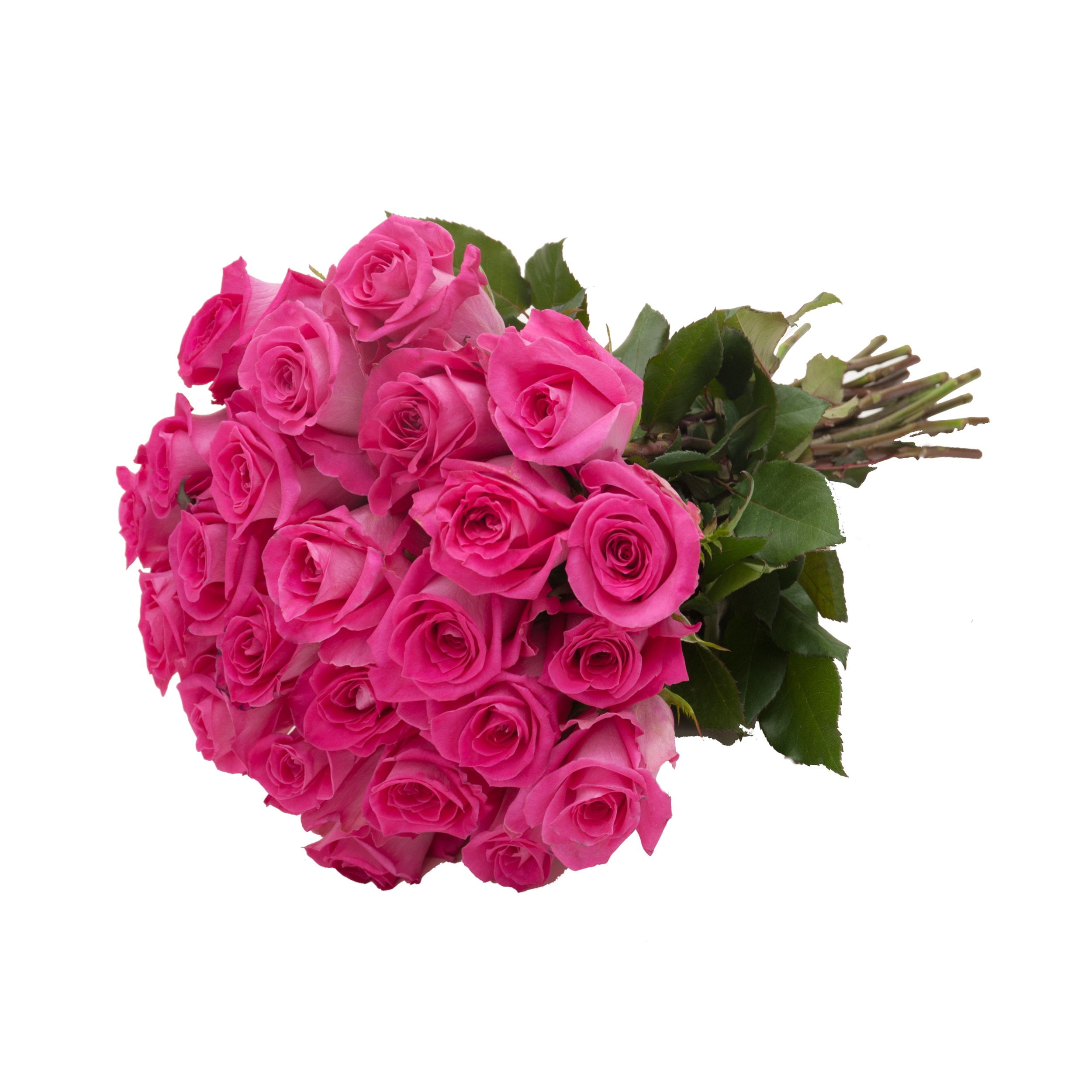 Hot Pink Roses Gift - Farm Direct Fresh Cut Flowers - 24 Stems - by ...