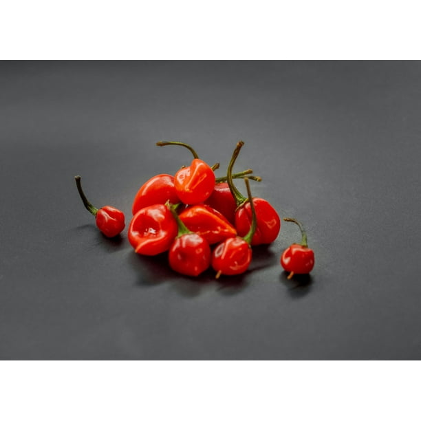 Hot Red Cherry Pepper Seeds/Perennial/ Full Sun/ 1250 Seeds 1/4 oz ...