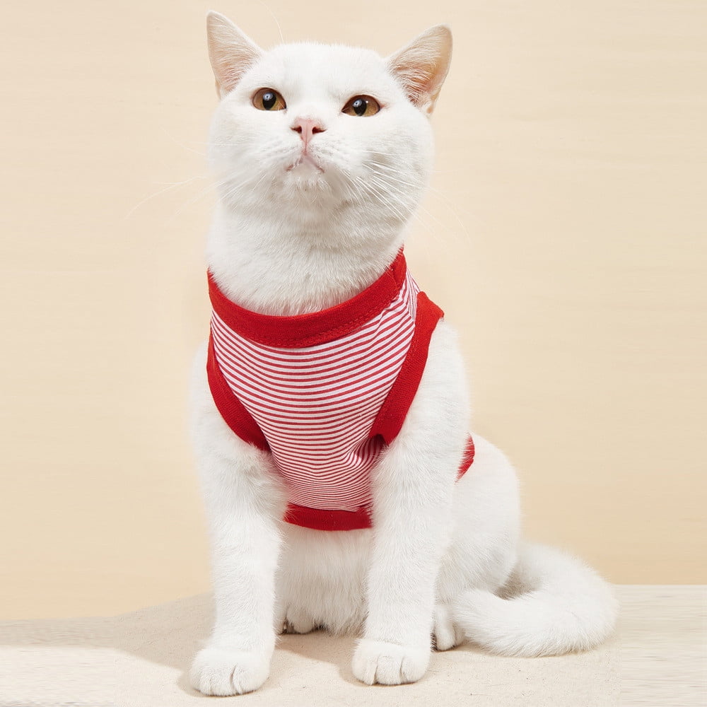 Hot Sale! Dog/Cat Surgery Recovery Suit,Surgical Suit for Small Female ...