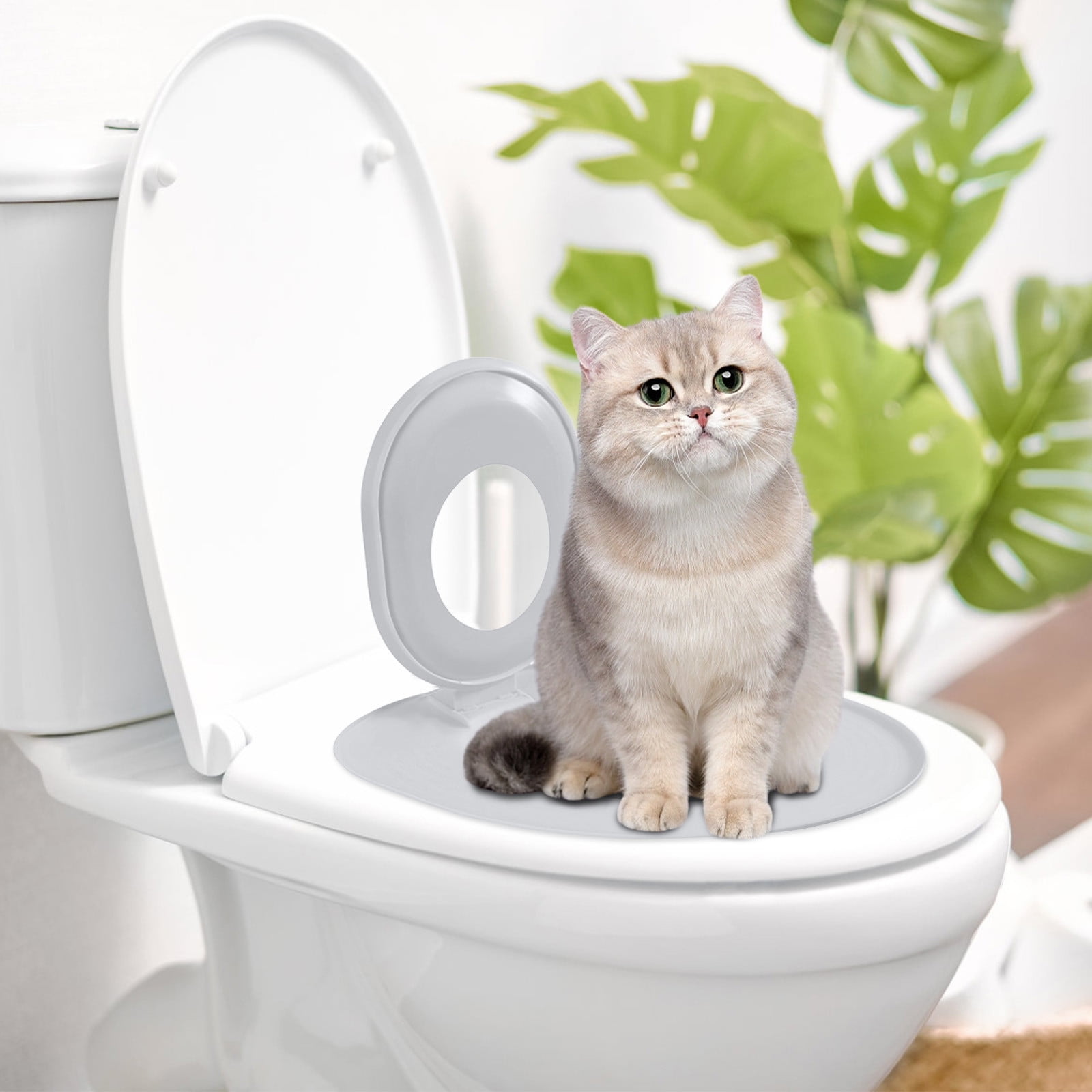 Hot Sell!Cat Toilet Training Kit - Reusable Litter Box Trainer Seat ...