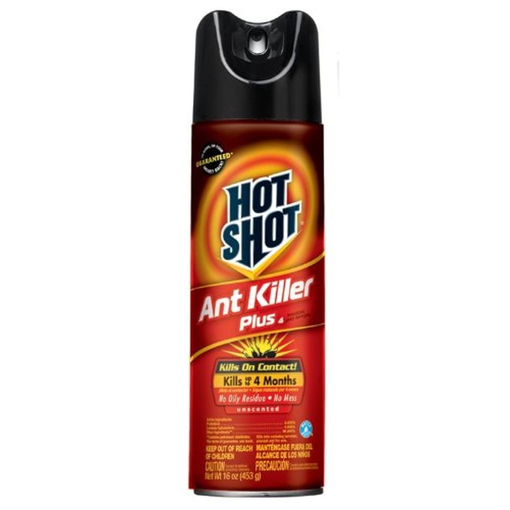 Hot Shot 4480 16 oz Ant Killer Plus Aerosol (Pack of 4) - Walmart.com