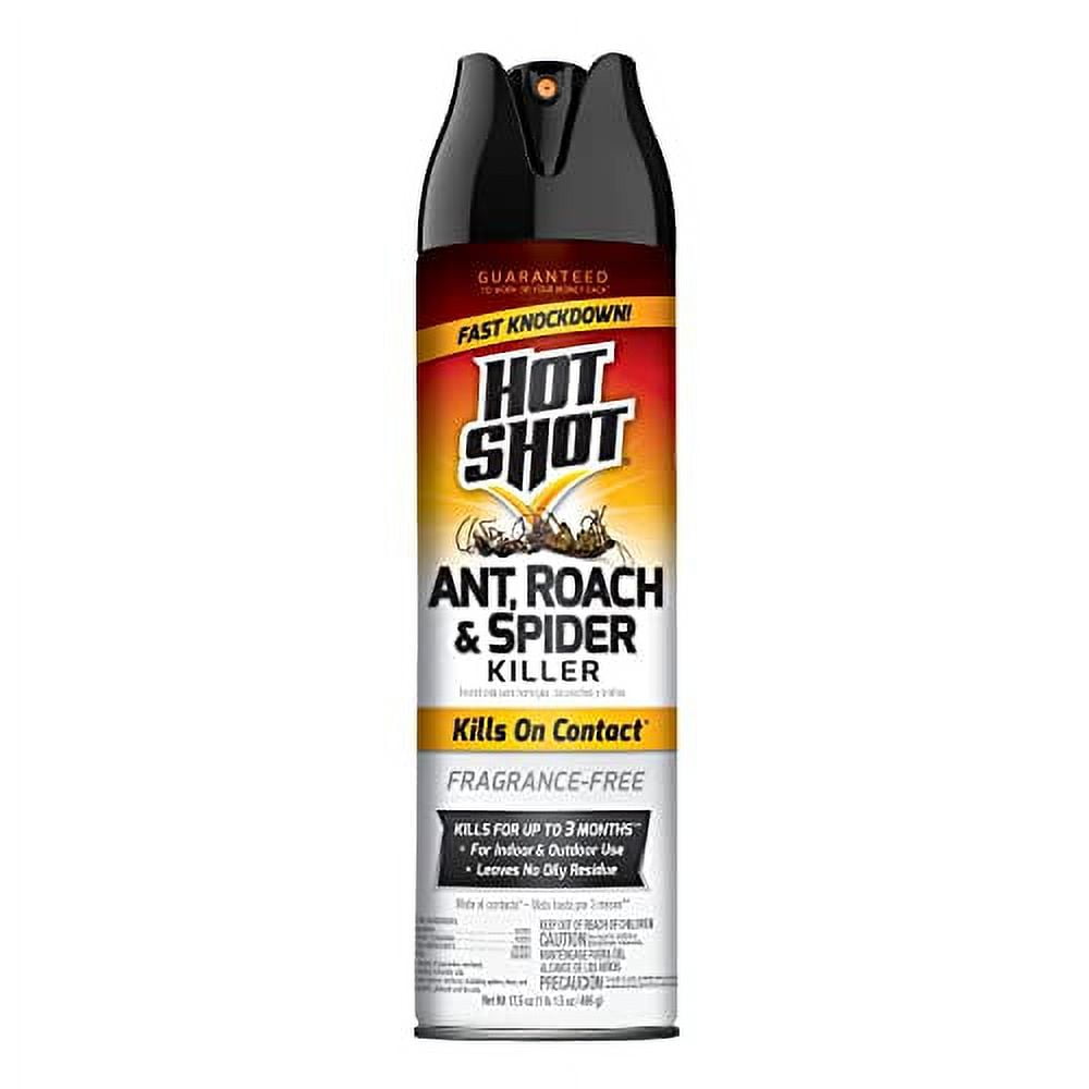 Hot Shot Home Bug Outside Ant, Roach & Spider Killer, Anti Pesticide Spray, 17.5oz - Walmart.com