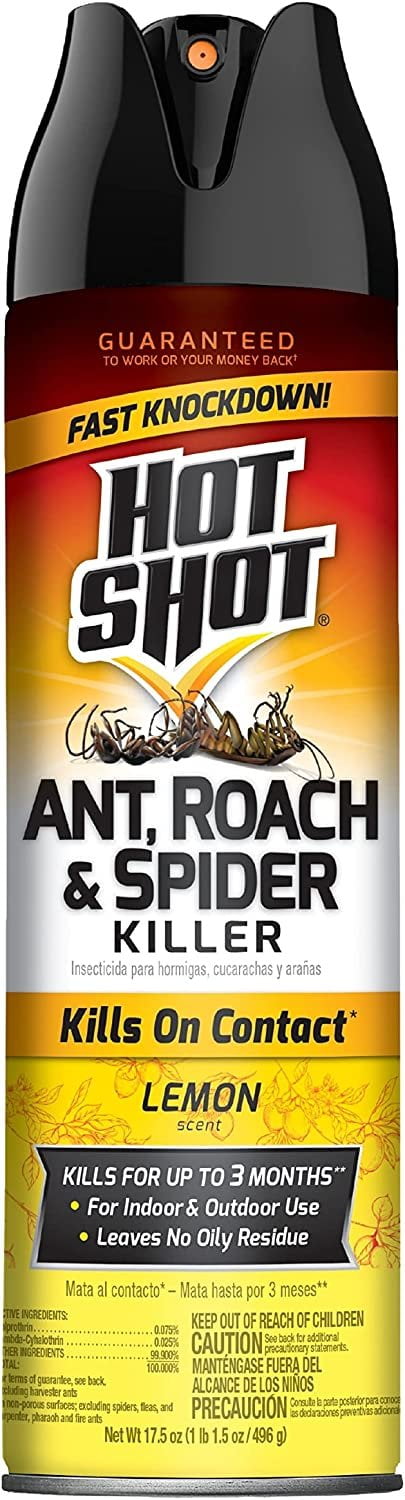 Hot Shot Ant, Roach & Spider Killer Spray, Kills Roaches and Listed ...