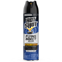 PIC RP Roach Prison Covered Insect Glue Trap, 2 pk - Walmart.com