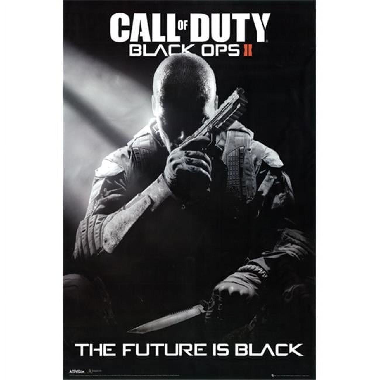 Hot Stuff Enterprise Z56-24x36-NA Call Of Duty Poster- 24 x 36 ...