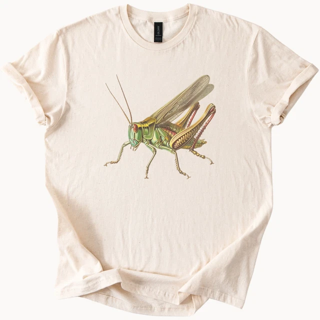 Hot Trending Grasshopper Insect Illustration Graphic Nature Bug Art ...
