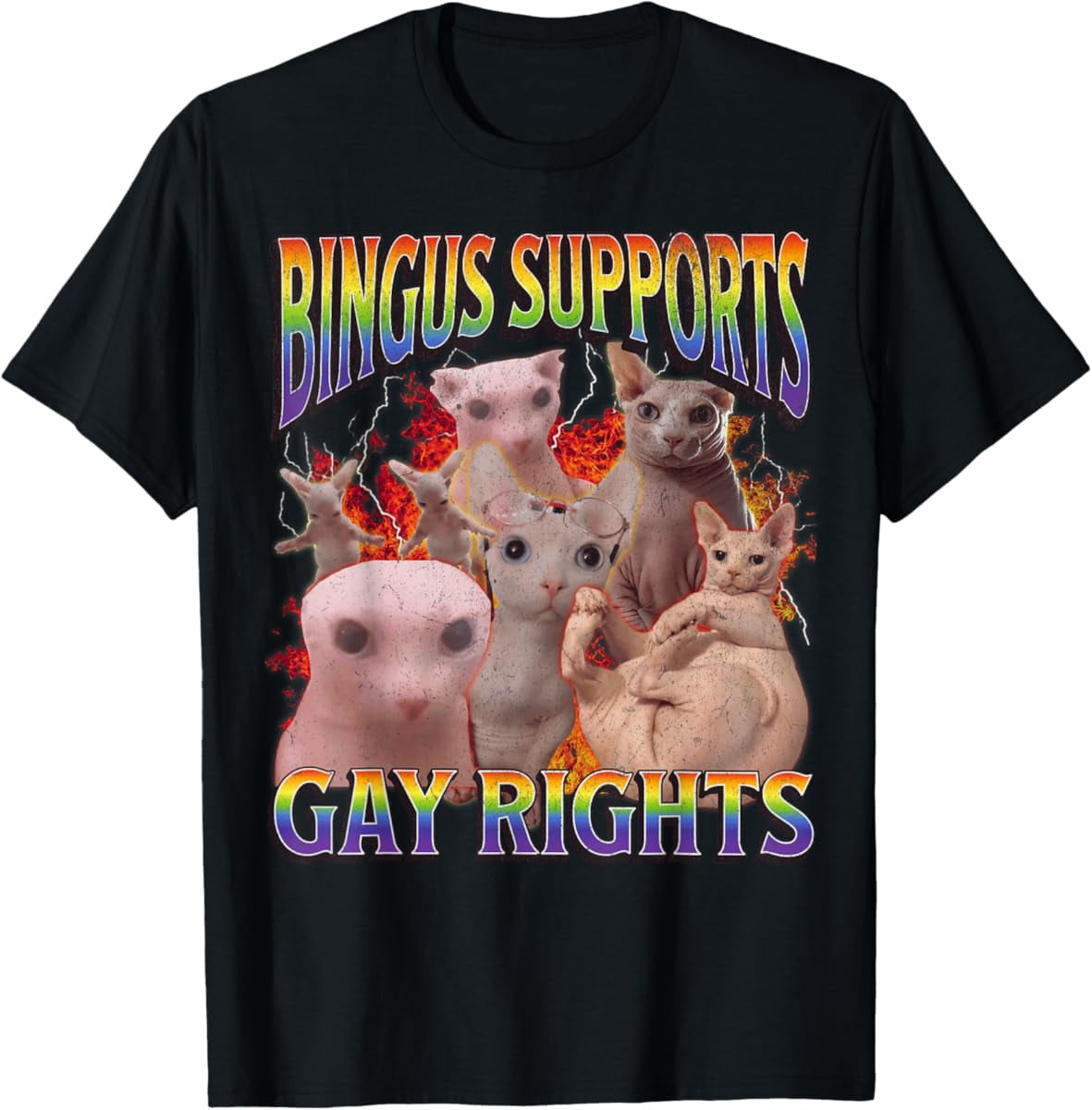 Hot Trending T-Shirt With Bingus Supports Rights Funny Sphinx Cat ...