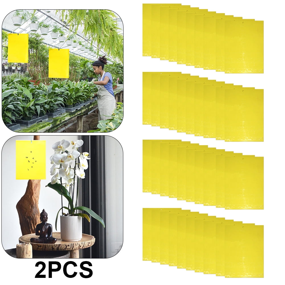 Hot! WLIZJ 20 Yellow Boards Double-Sided Sticky Insect Boards to ...