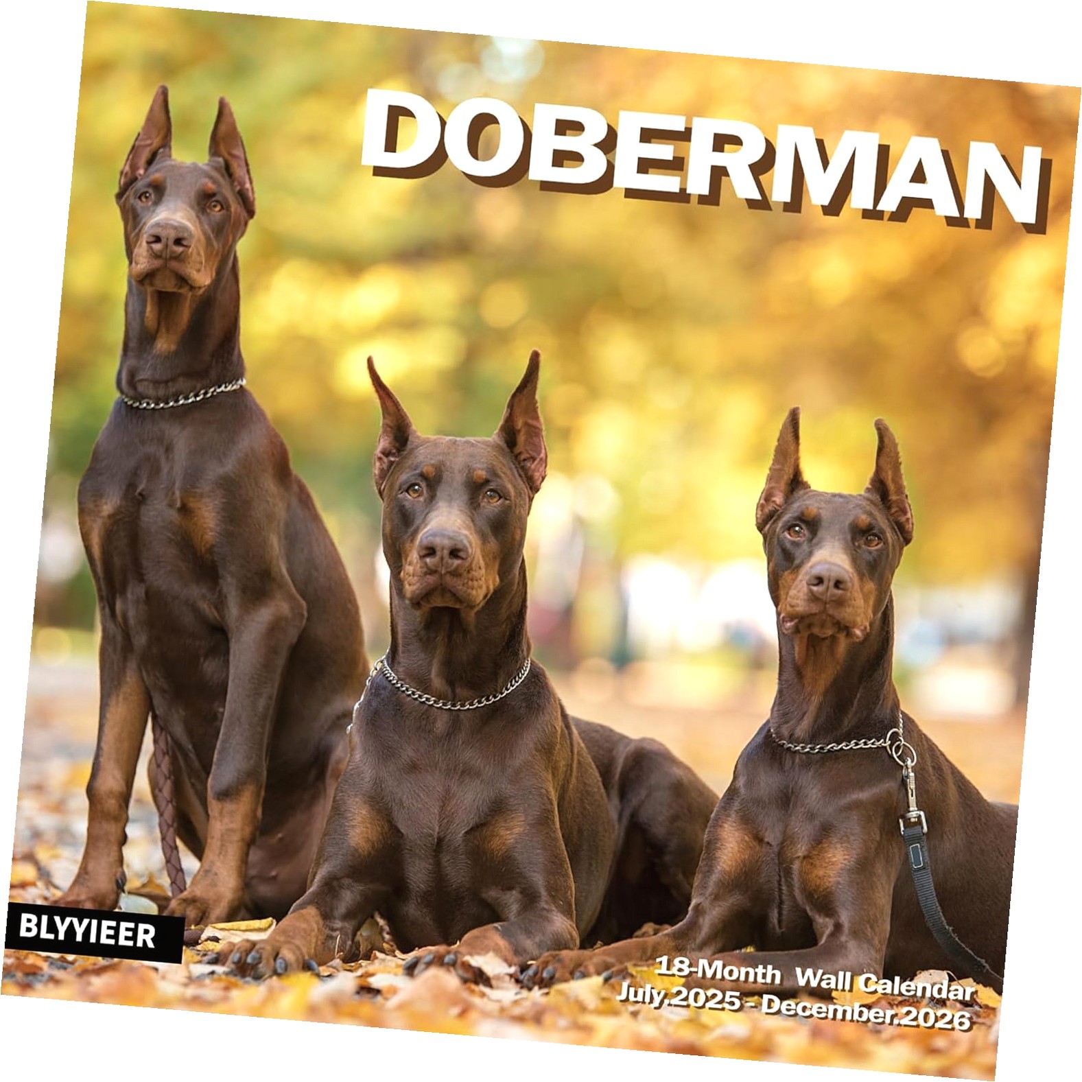 Hotbar 2025-2026 Wall Calendar, Doberman Wall Calendar, 12" 24" Open ...