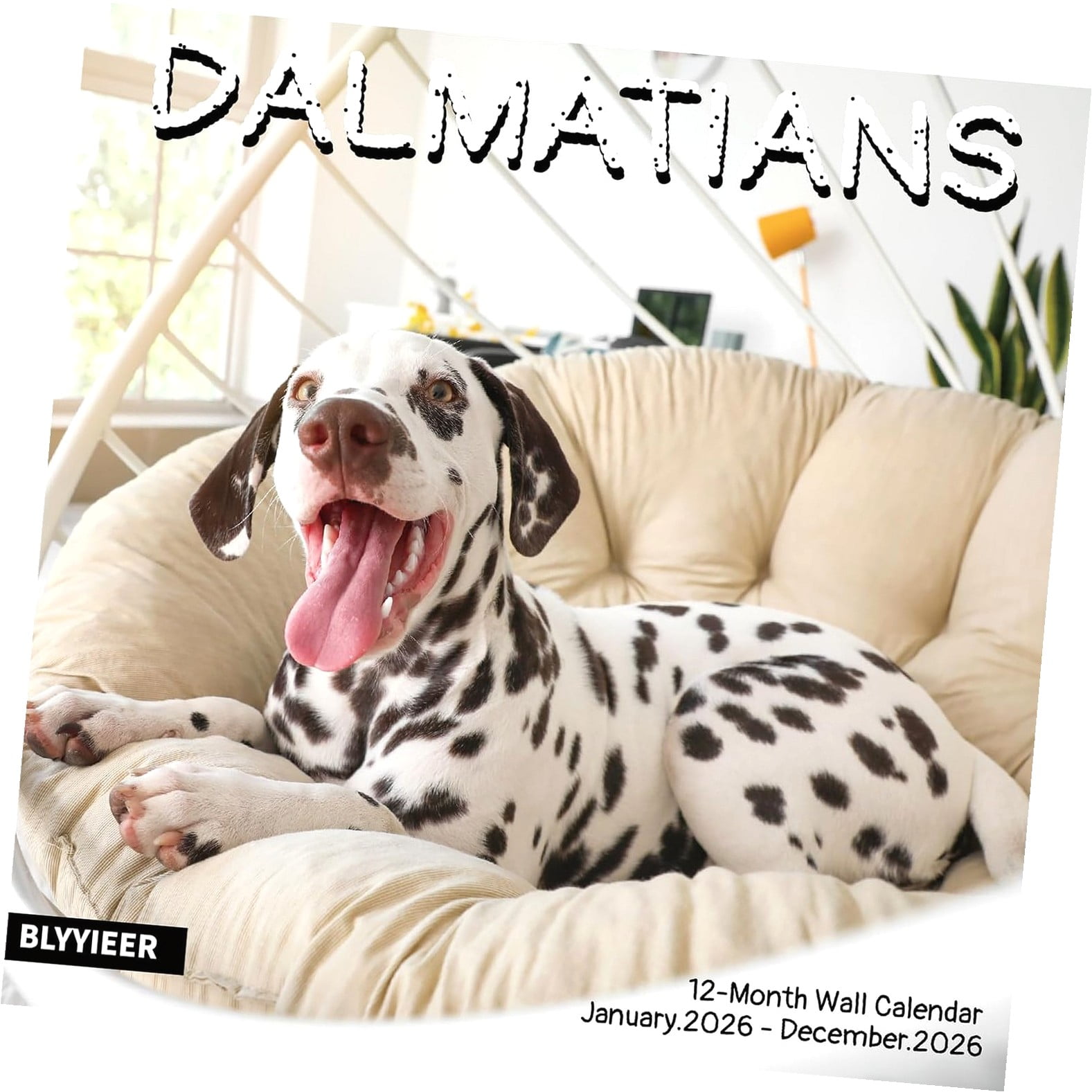 Hotbar 2026 Wall Calendar, Dalmatians Dogs Monthly Wall Calendar, 12 ...