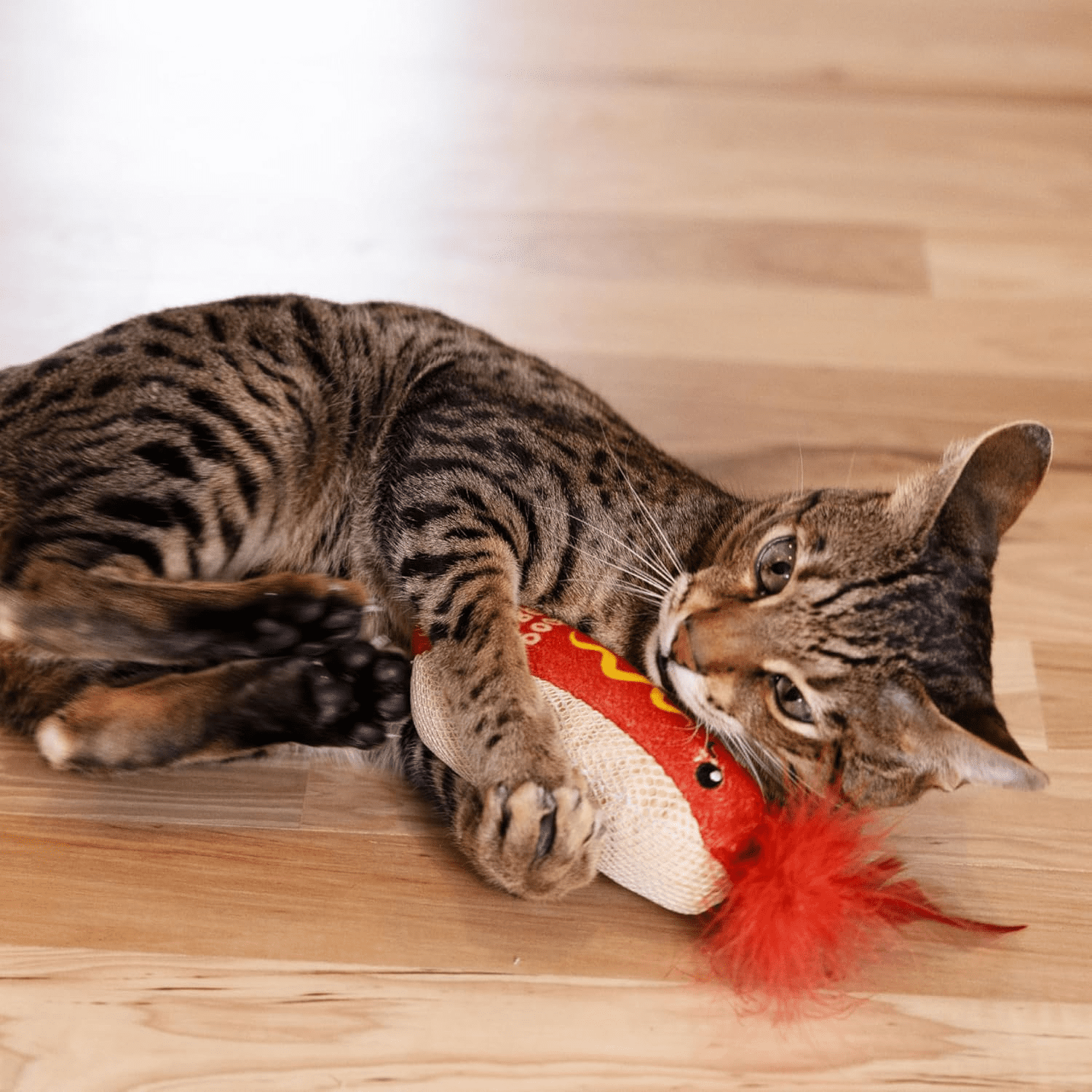 Hotdog Kicker Toy with Catnip and Dental Mesh, Hot Dog Shape, Plush and ...