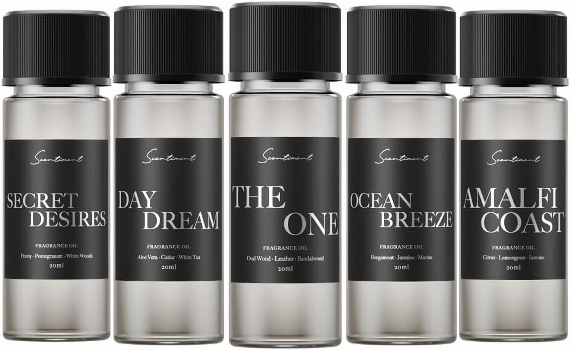 Hotel Diffuser Oil Discovery Kit | Inspired by Elite Five Star & Luxury ...