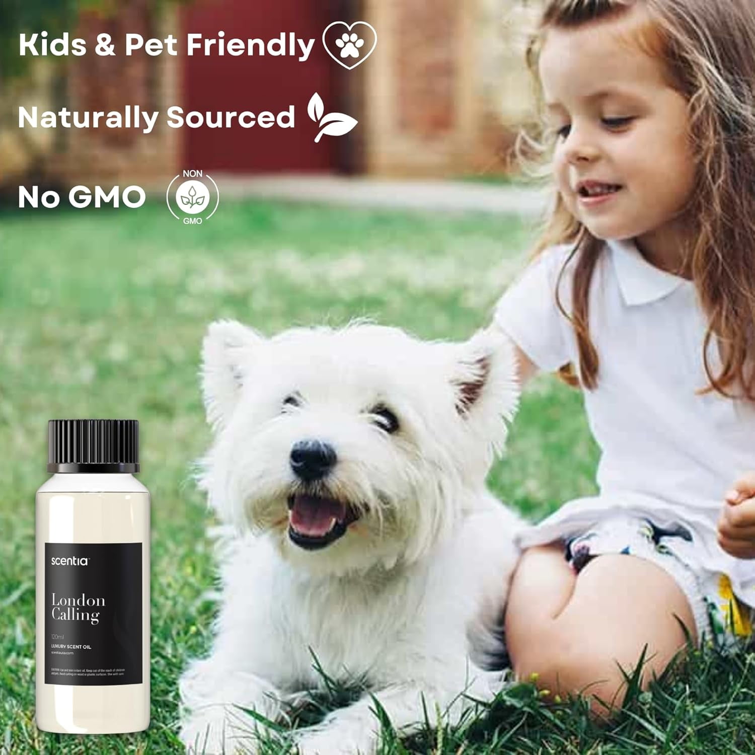 Hotel Diffuser Oil Inspired by Ferrari - 120 ml 4.06 fl oz - Fragrance ...