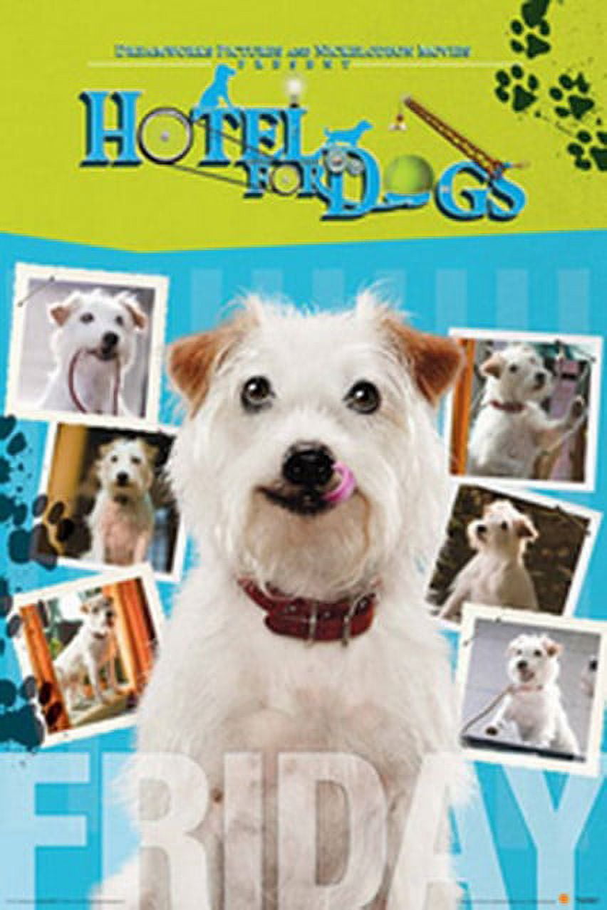 Hotel For Dogs Friday Poster 24-727 - Walmart.com