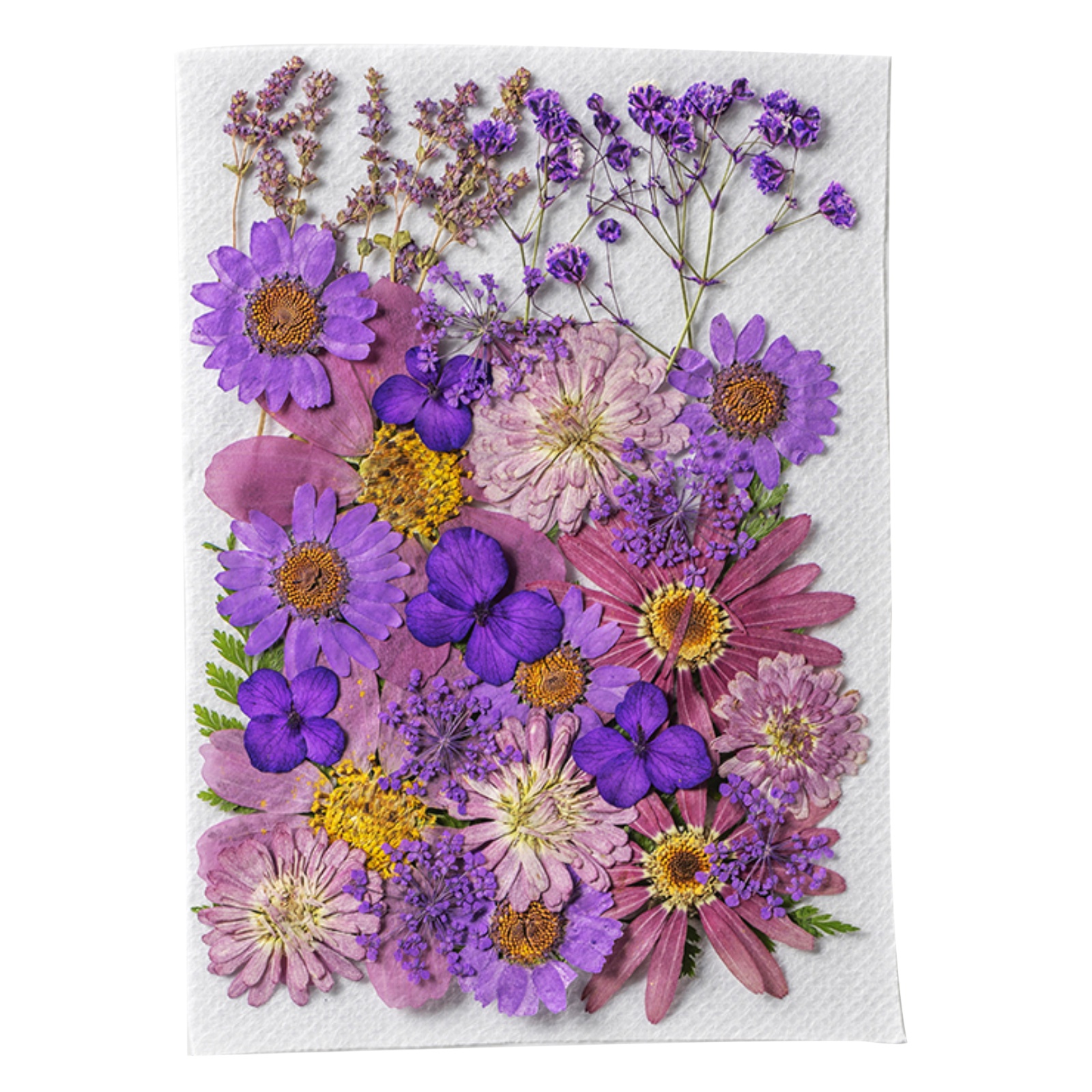 Hotiary 35PCS Dried Flowers for Resin, Natural Flowers and Leaves ...