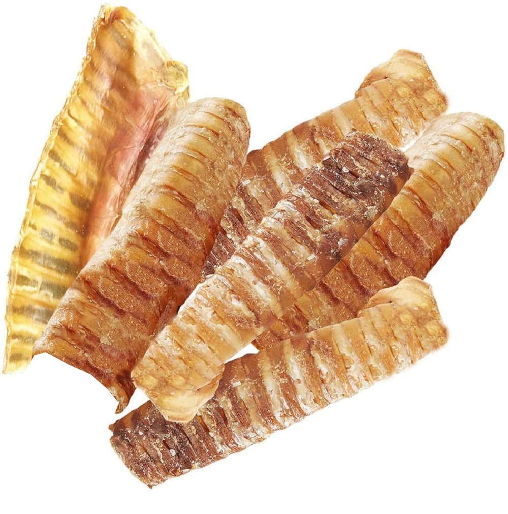 "Hotspot Pets Premium Beef Trachea 6"" Strips for Dogs (10 Pack ...