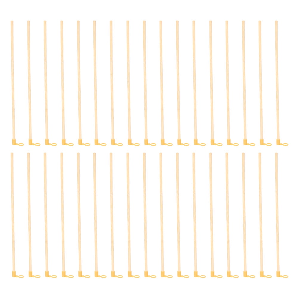 Houderco 40Pack Diy Lantern Stick Wooden Abs for Children Portable 10 ...