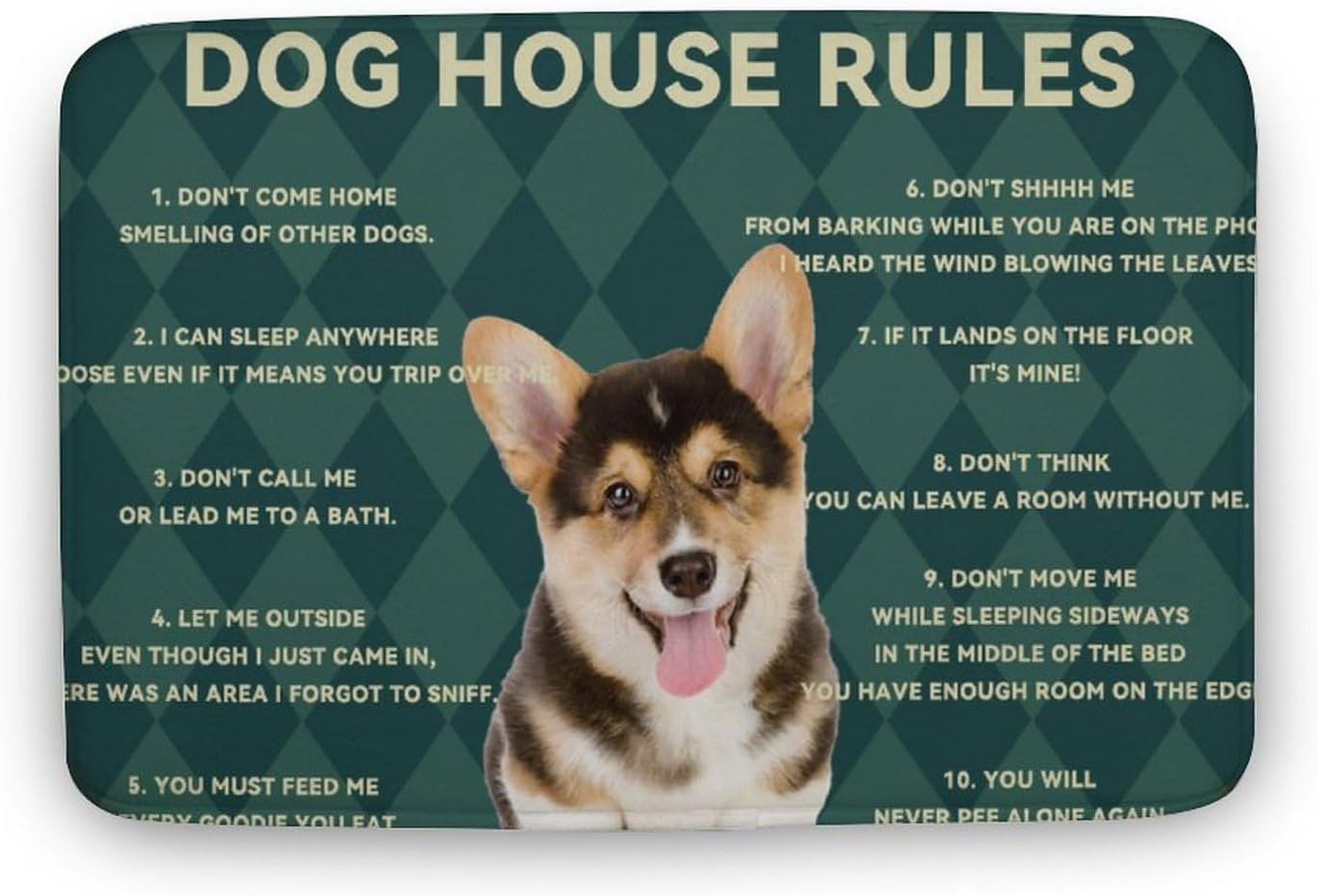 House-Dogs Rules When Visiting Our House - Funny Personalized Door Sign ...