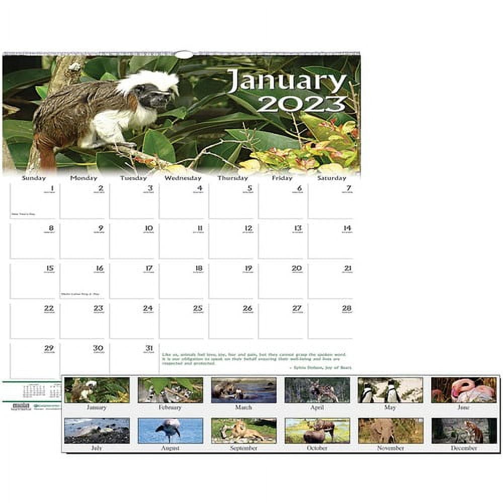 House of Doolittle Earthscapes Wildlife Wall Calendars - Julian Dates ...