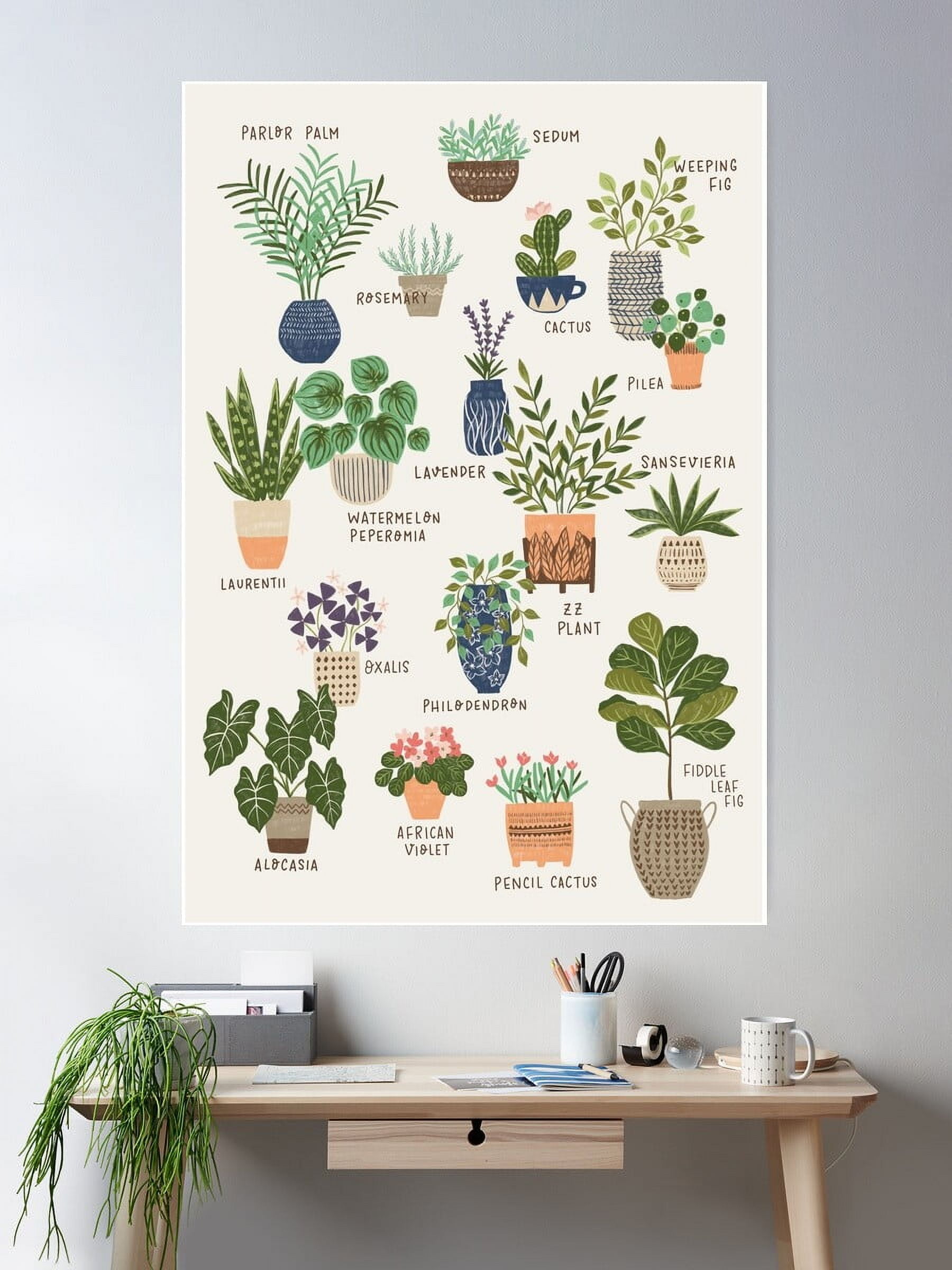House Plant Chart Poster Wall Art, Modern Wall Decor For Living Room ...