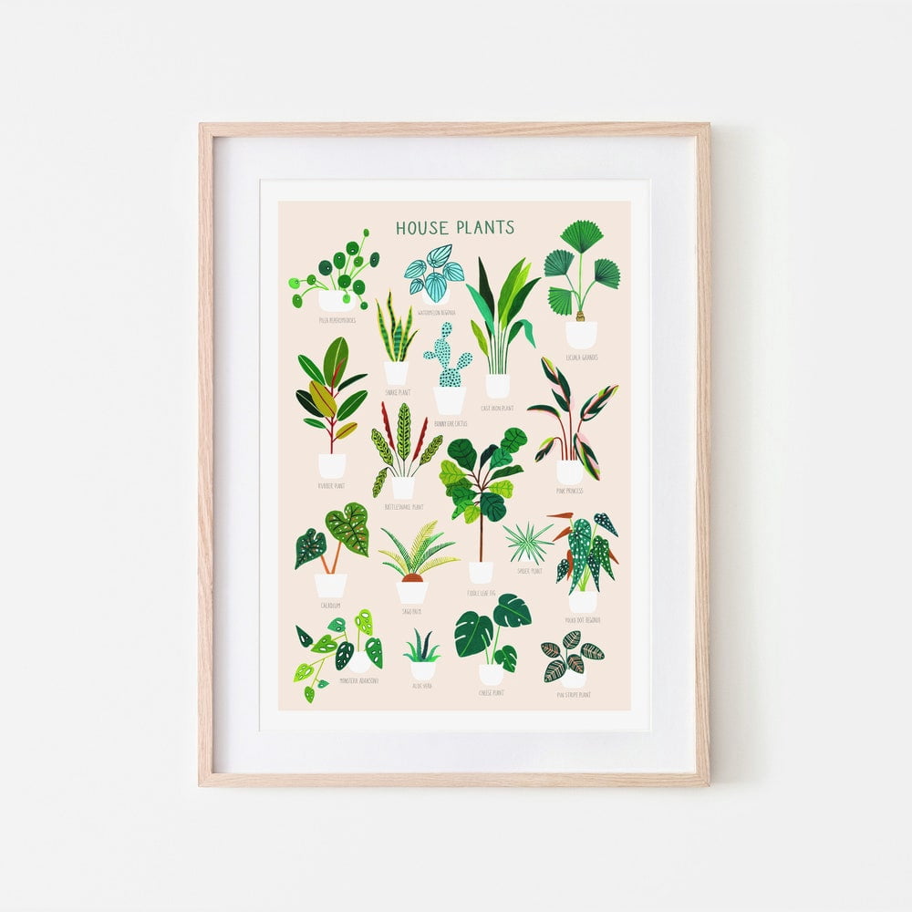 House Plants On Pink Print, Botanical Print, Plant Poster, Indoor Plant ...