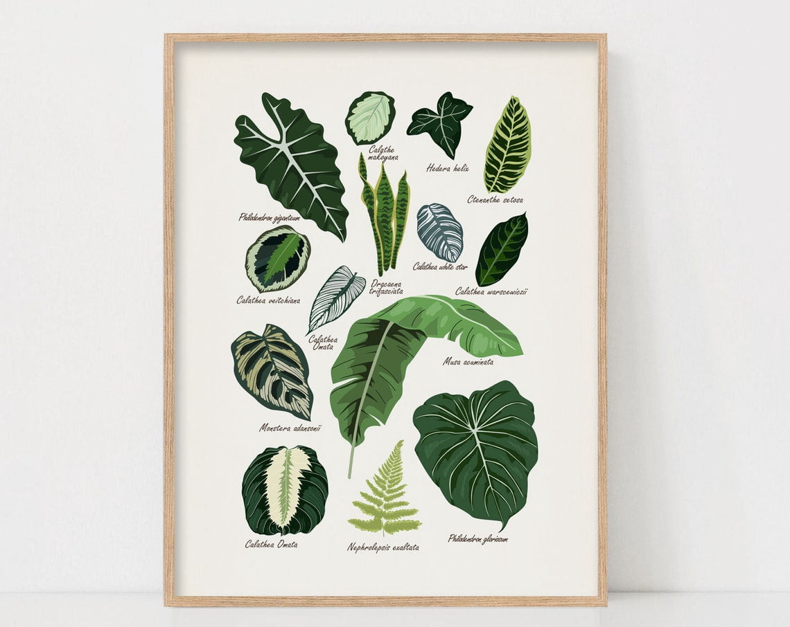 House Plants Print, Plant Poster, Botanical Wall Art Plant Lady, Plant ...