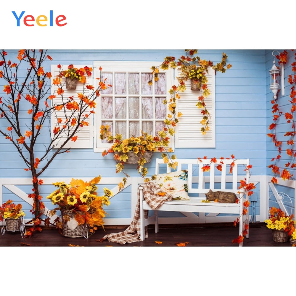 House Window Yard Autumn Chair Scene Portrait Backdrop Photography ...