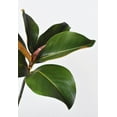 "14"" Artificial Faux Magnolia Leaf Stem" - Walmart.com