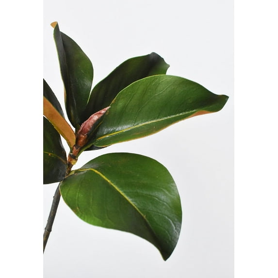 "14"" Artificial Faux Magnolia Leaf Stem" - Walmart.com