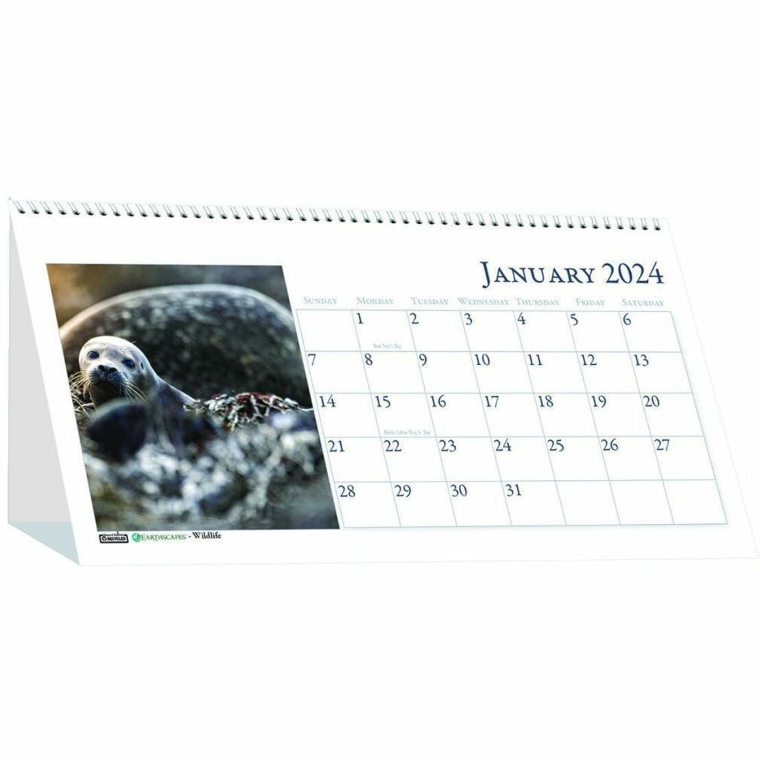 House of Doolittle Recycled Monthly Desktop Tent Calendar Earthscapes ...