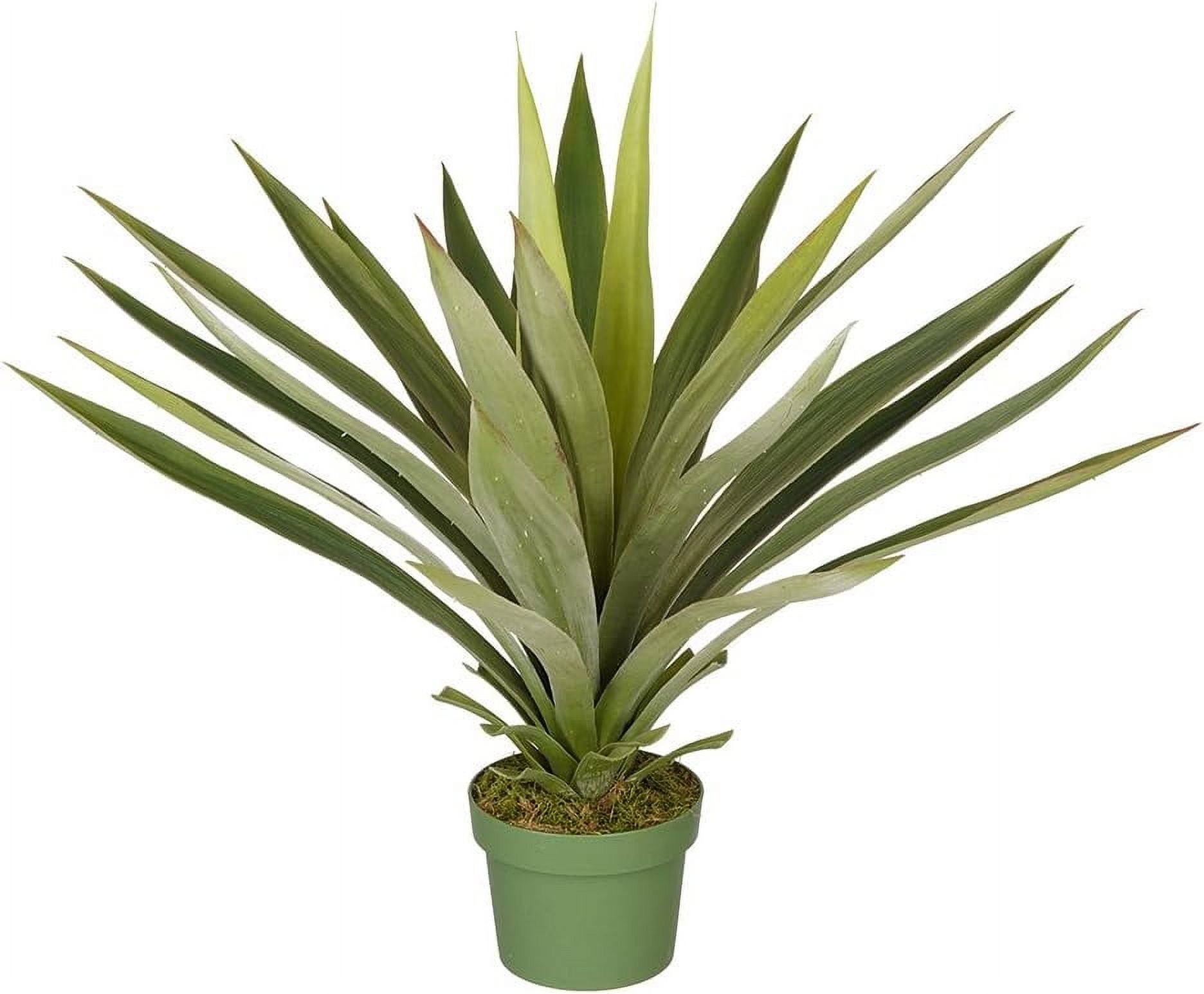 Large Artificial Yucca