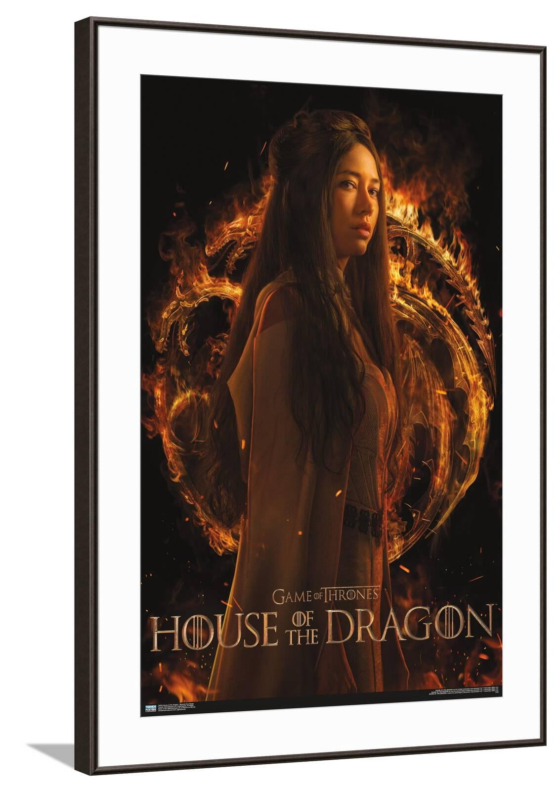 House of the Dragon - Mysaria One Sheet Canvas Wall Poster, 22.375" x ...