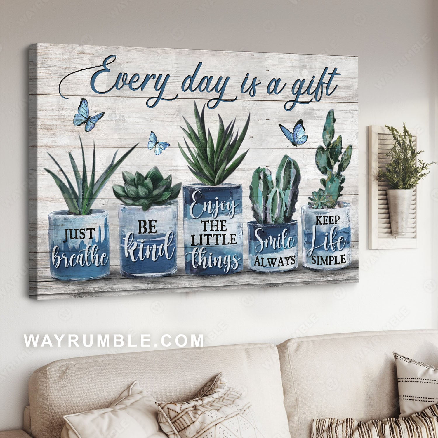 House plant, Echeveria succulent, Aloe plant, Opuntia cactus, Every day ...