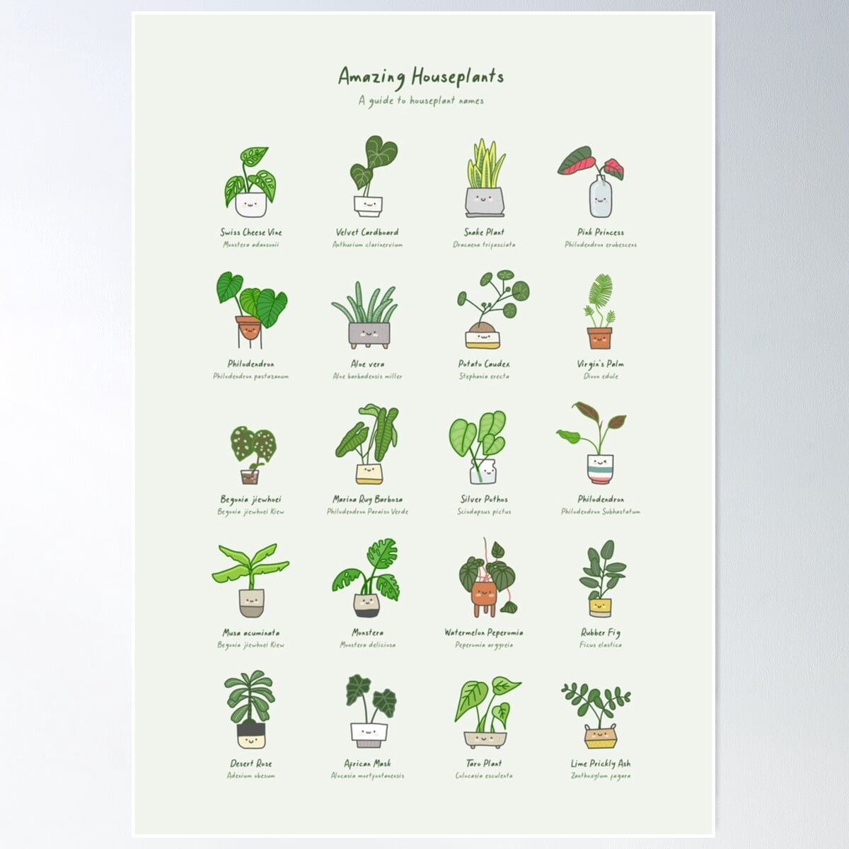 Houseplant Chart Drawing With Names Poster Wall Art, Modern Wall Decor ...
