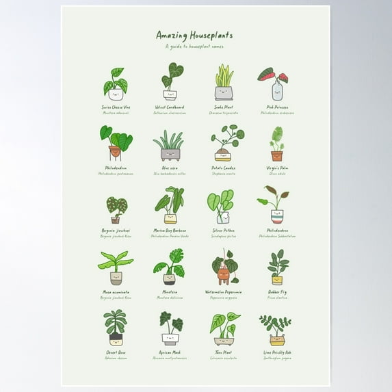 Houseplant Chart Drawing With Names Poster Wall Art, Modern Wall Decor ...