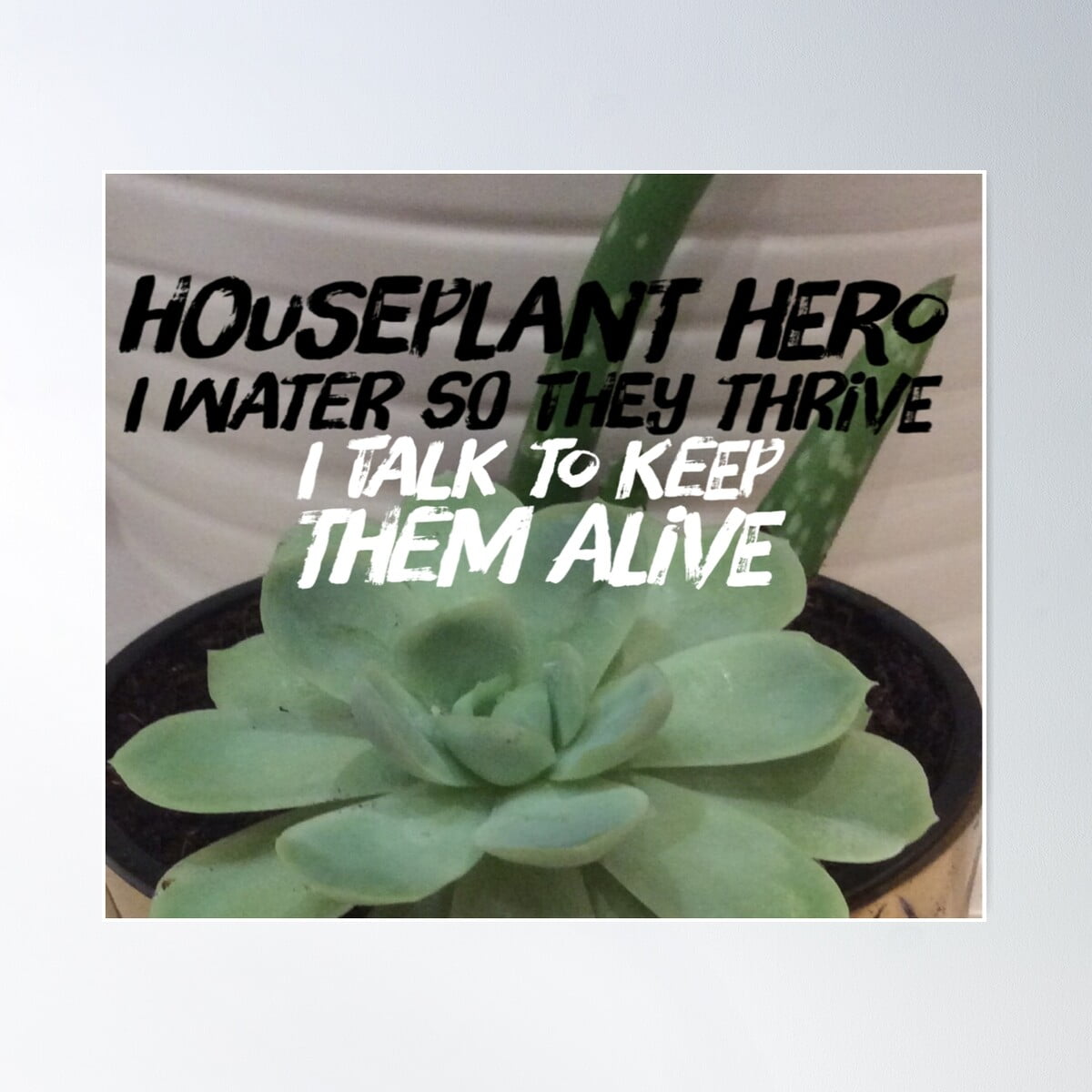 Houseplant Hero I Water So They Thrive Poster Wall Art, Modern Wall ...