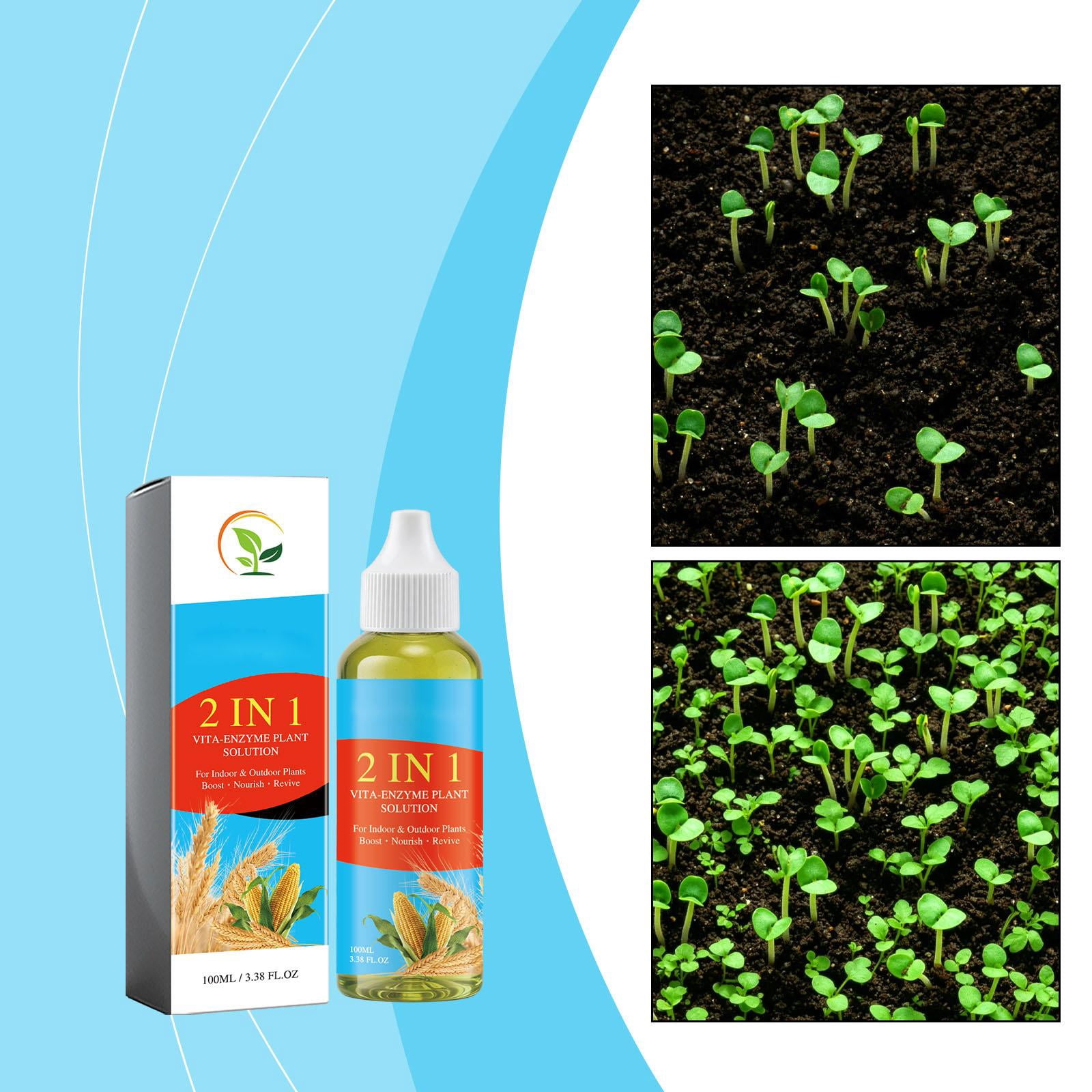 Houseplant Liquid Fertilizer Outdoor Use, 100Ml Concentrated Plant for ...