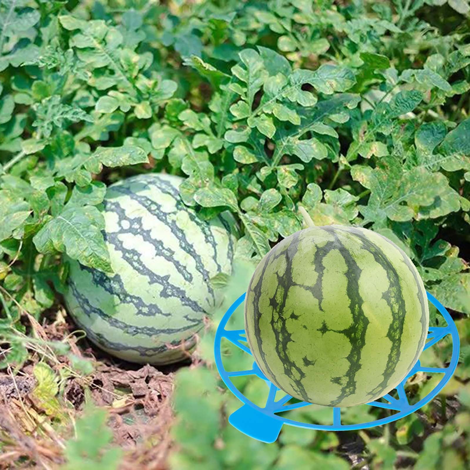 Housewares Gardening Melon And Fruit Tray Watermelon Support Garden ...
