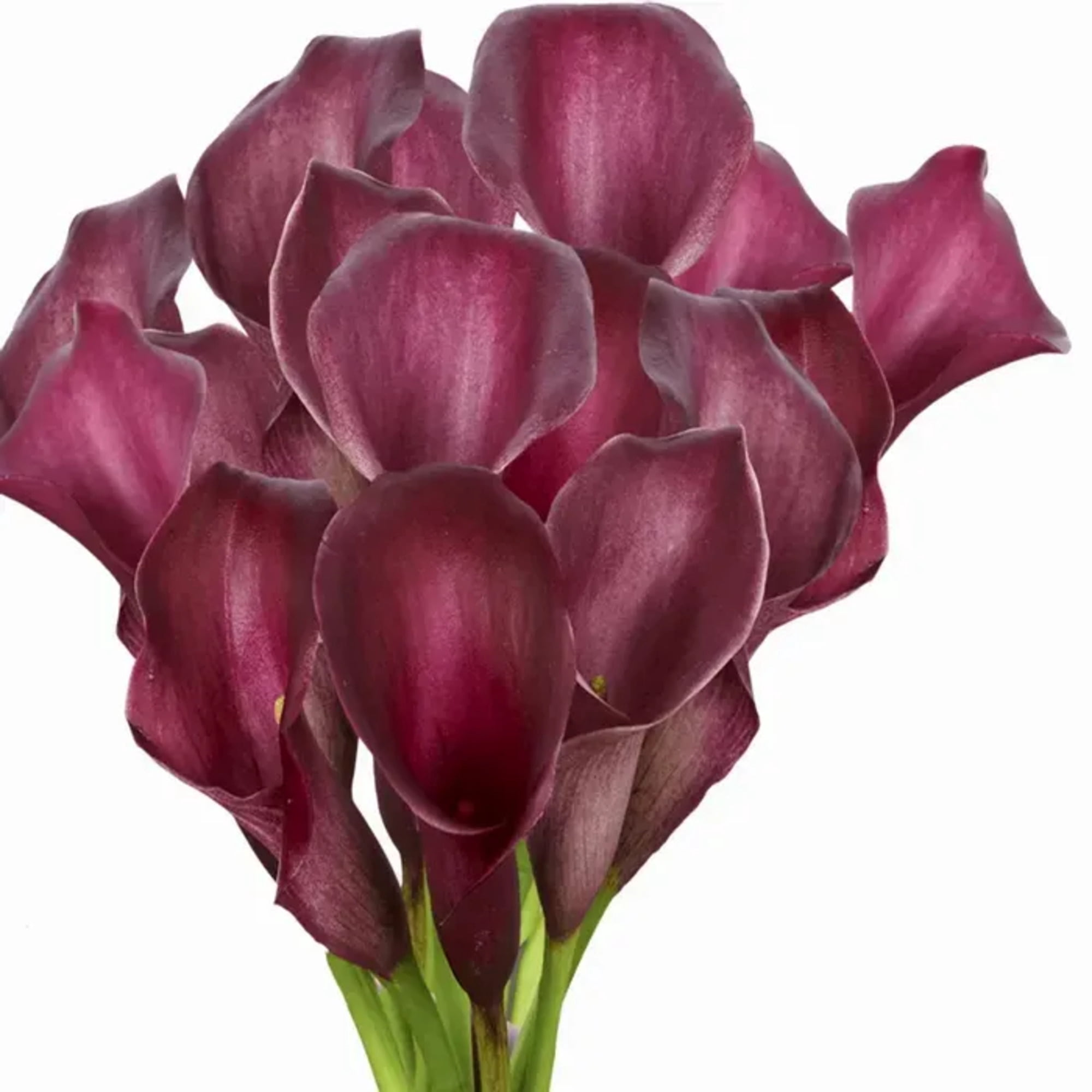 Houston Fresh Flowers Mini Calla Lilies - Deluxe - Walmart.com