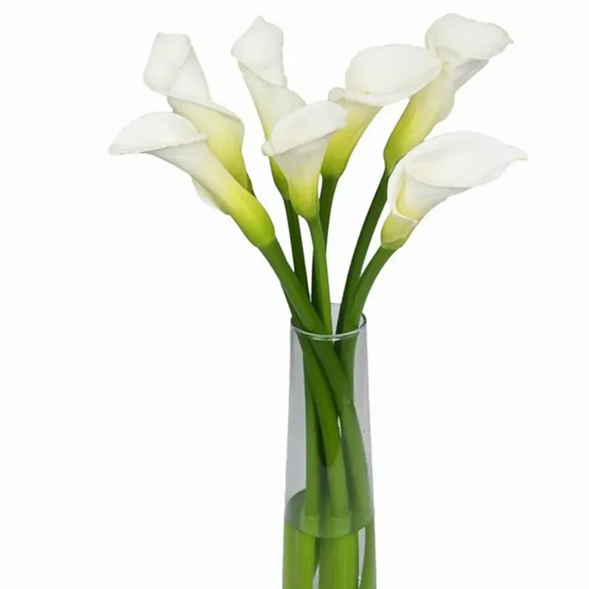 Houston Fresh Flowers White Mini Calla Lilies - Regular - Walmart.com
