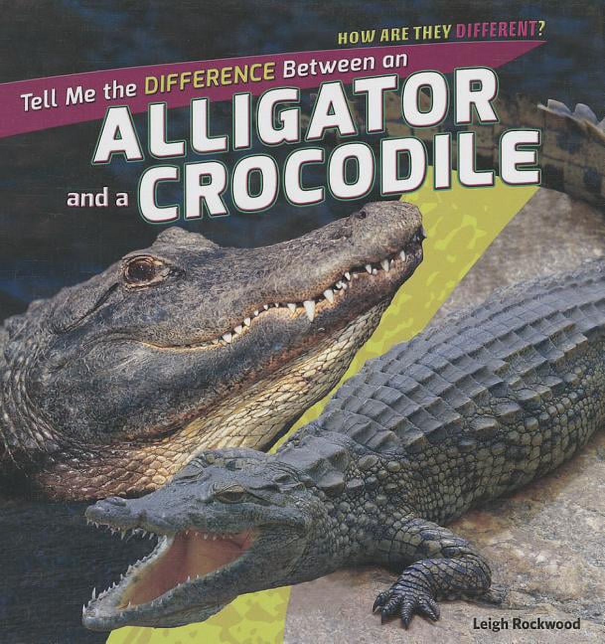 Caiman Alligator Crocodile Difference