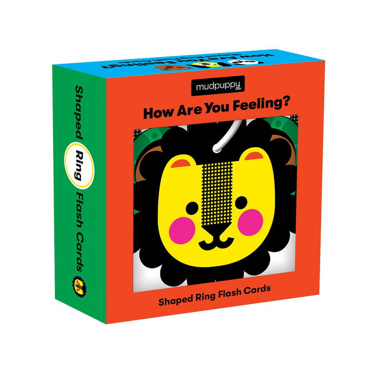 How Are You Feeling? Shaped Ring Flash Cards (Cards) - Walmart.com