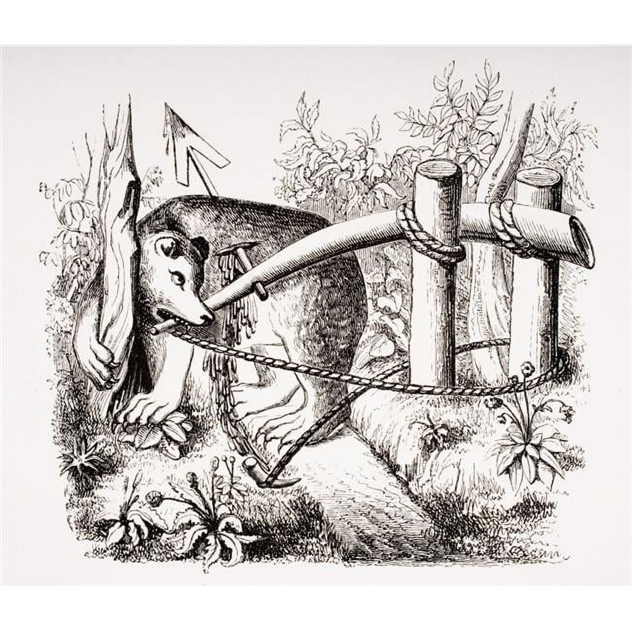 How Bears & Other Beasts May Be Caught with A Dart 19th Century ...